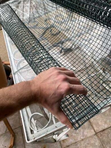 Moss Pole DIY: 7 EASY Steps to Make a Perfect One!