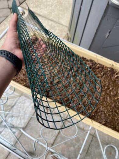 Moss Pole DIY: 7 EASY Steps to Make a Perfect One!