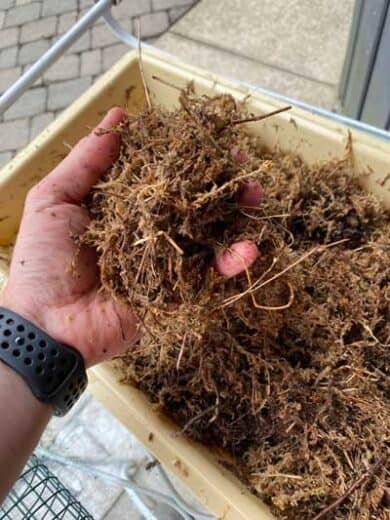 Moss Pole DIY: 7 EASY Steps to Make a Perfect One!