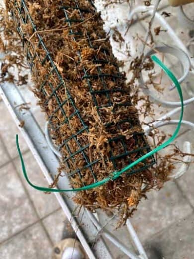 Moss Pole DIY: 7 EASY Steps to Make a Perfect One!