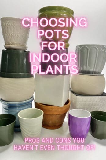 Indoor Plant Pot Types: 5 Great Choices w/ Pros & Cons!