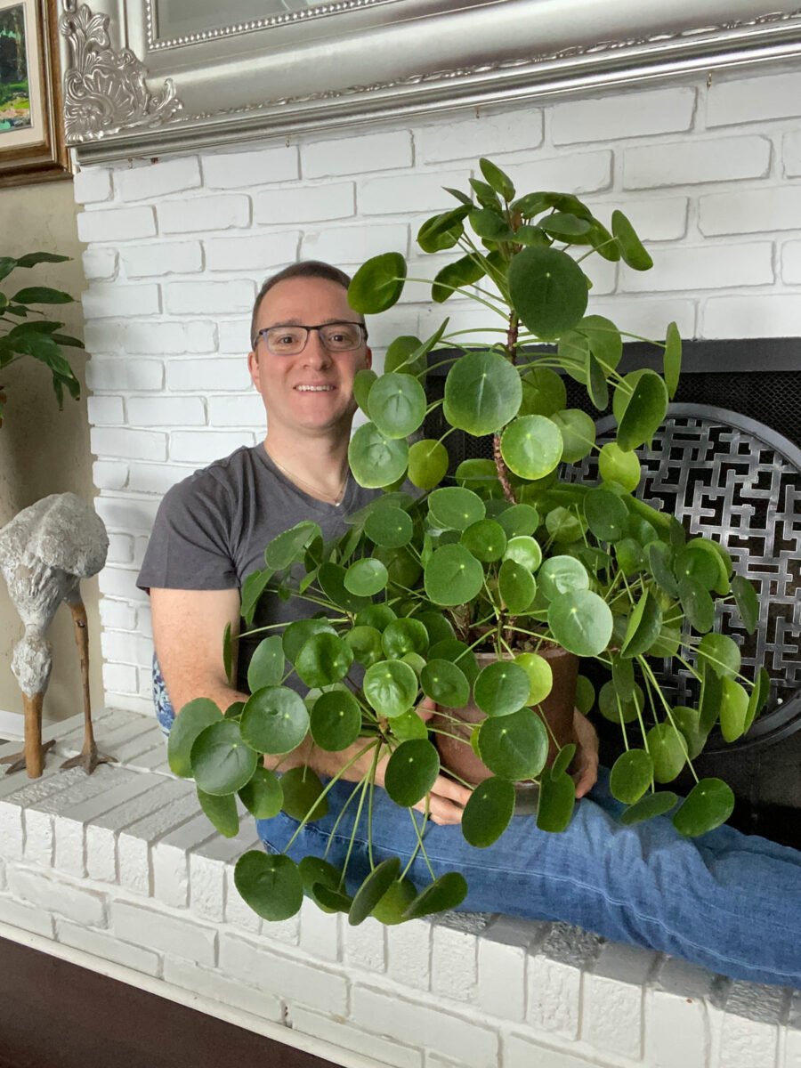 Encouraging Pilea Pups to Grow: 10 Tips to Succeed