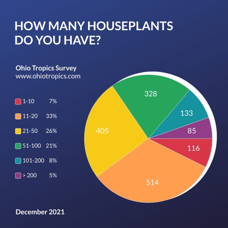 10 Titillating Houseplant Statistics You Need to Know