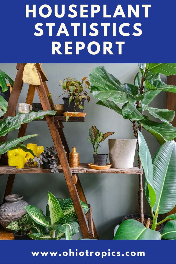 10 Titillating Houseplant Statistics You Need to Know