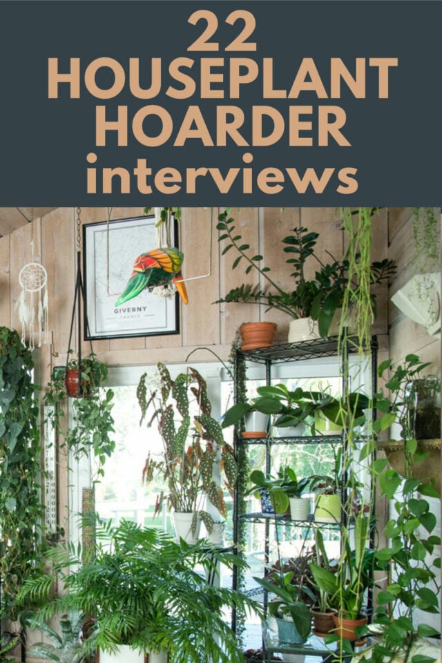 A Profile of 22 Houseplant Hoarders: Their Amazing Stories