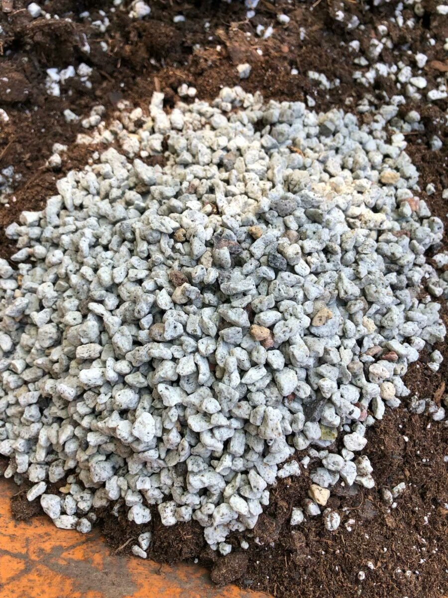Perlite vs Pumice: Pros & Cons of Both in Potting Mix