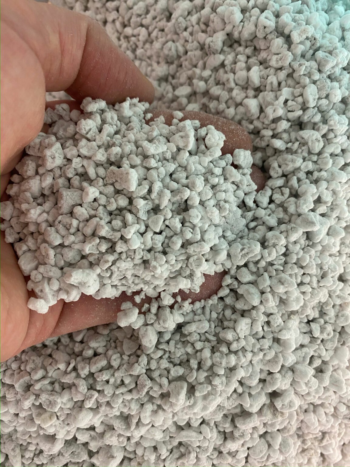 Perlite vs Pumice: Pros & Cons of Both in Potting Mix