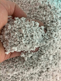 Perlite vs Pumice: Pros & Cons of Both in Potting Mix