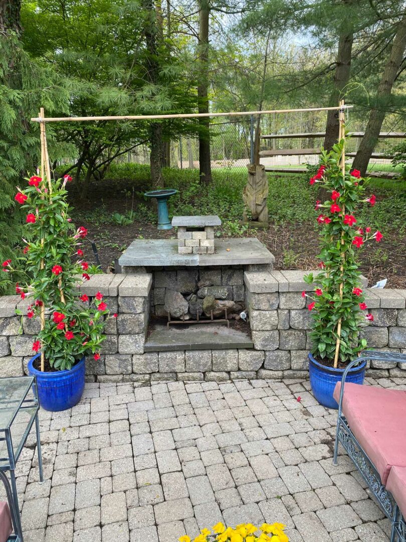 Mandevilla Trellis Ideas & Care Tips to Grow Stunning Plants