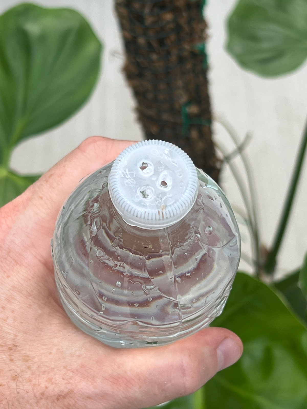 Zelf watergevende mospaal - gemakkelijk water geven met minimale ...