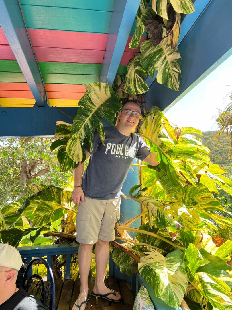 Pothos in the Wild: 5 Cool Facts About This "Houseplant"