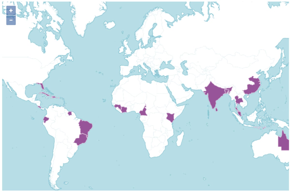 Pothos in the Wild: 5 Cool Facts About This "Houseplant"