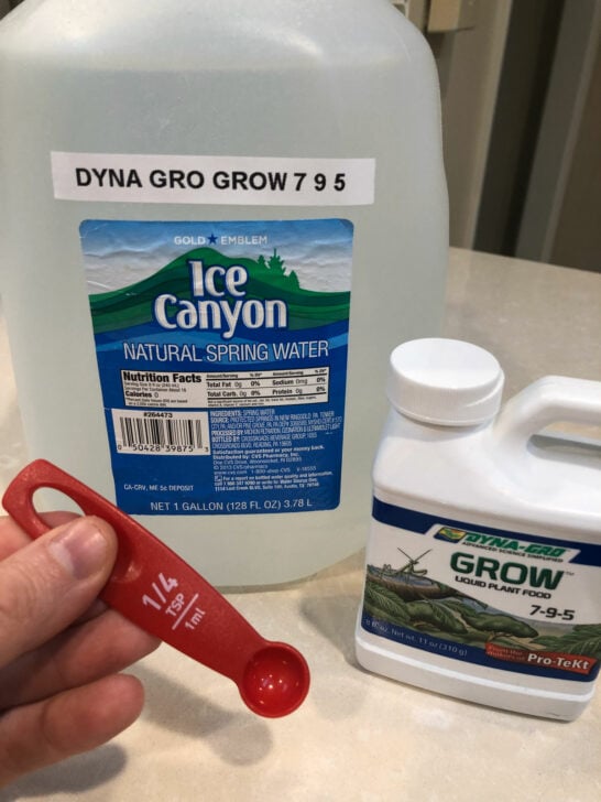 Best Fertilizer for Monstera Deliciosa + 5 Top Tips for Use