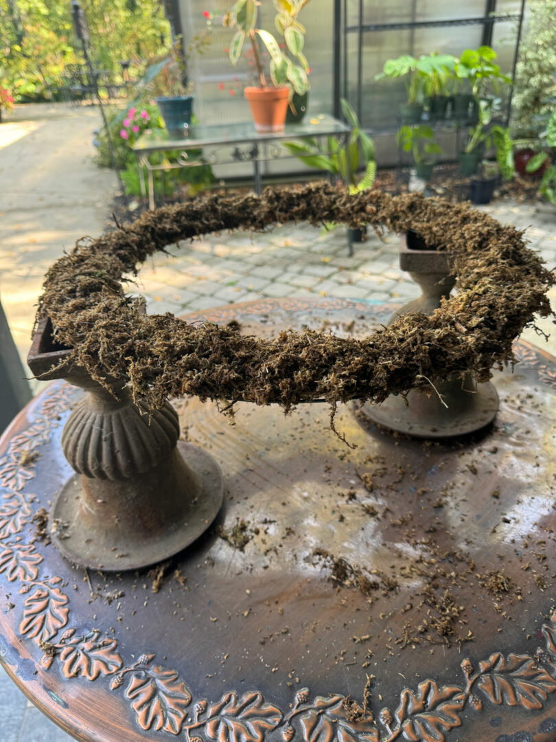 How to Make a Living DIY Wreath With Air Plants