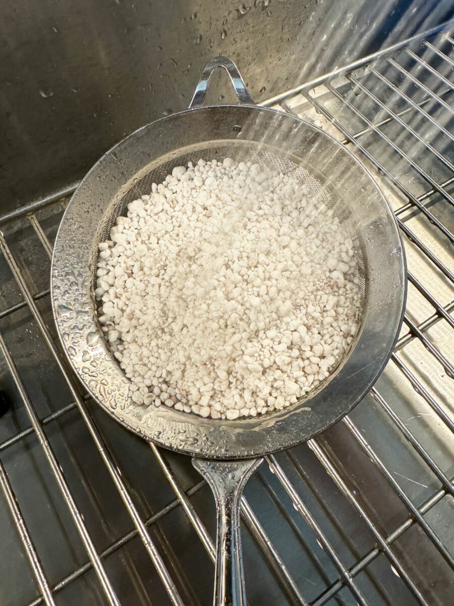 African Violets in Self-Watering Pots: 4 Steps to Success