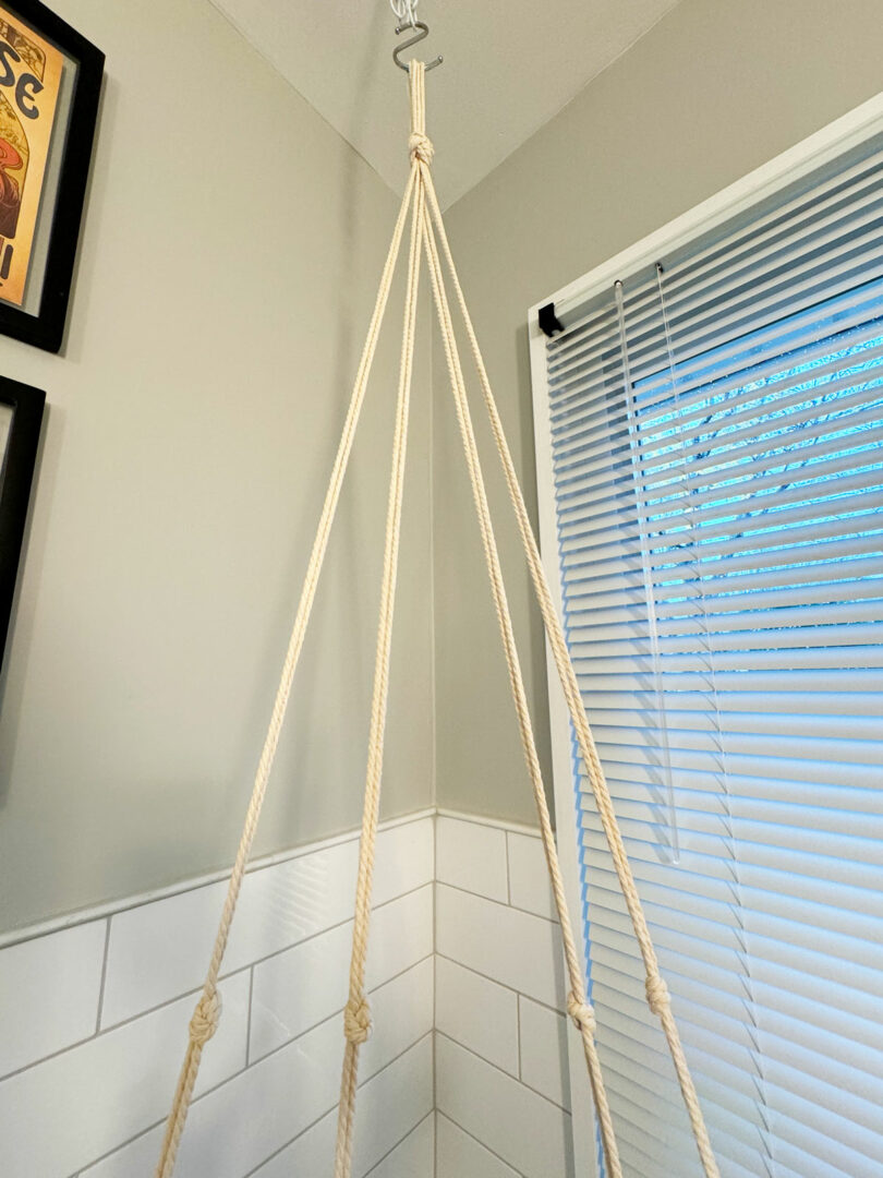 Easy Macrame Plant Hanger: Step-by-Step With Photos
