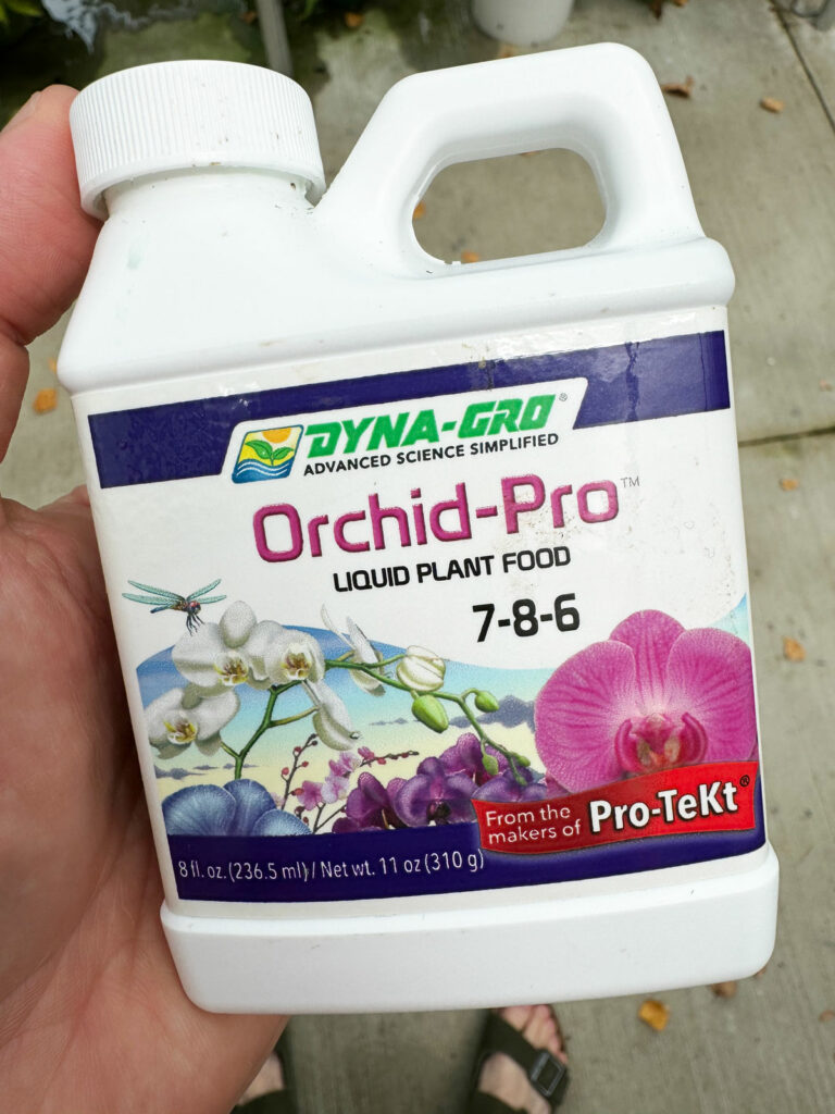 3 Useful Tips to Fertilizing Phalaenopsis, or Moth Orchids